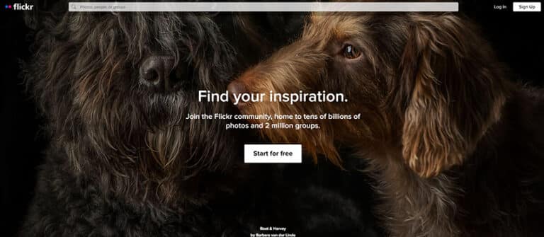 Top 100 Free Stock Photo Sites to Download FREE IMAGES