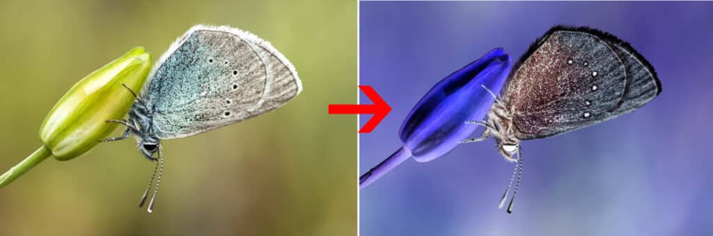 Invert Colors in Photoshop: 3 Simple Techniques