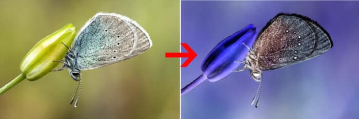 Invert Colors in Photoshop: 3 Simple Techniques