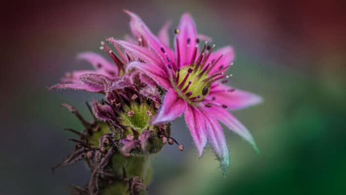 Invert Colors in Photoshop: 3 Simple Techniques