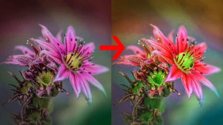 Invert Colors in Photoshop: 3 Simple Techniques