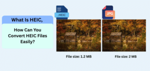What Is HEIC? Easy step by step Conversion Tips
