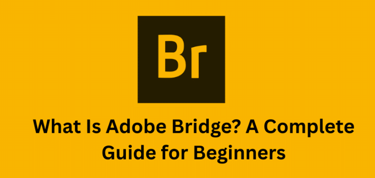 What Is Adobe Bridge? A Complete Guide for Beginners